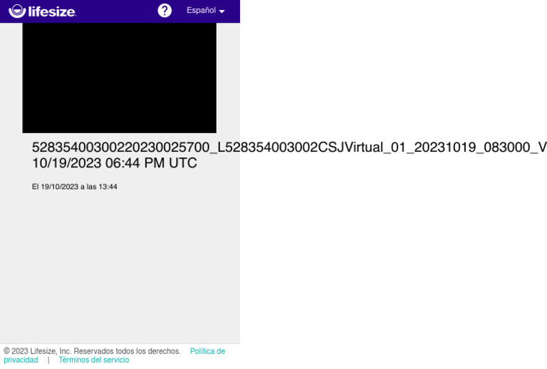 Lifesize - Playback | PDF