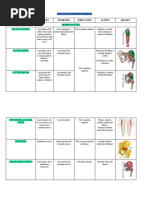 Tabla de M-Sculos Del Miembro Inferior | PDF | Sistema musculoesquelético | Anatomía humana