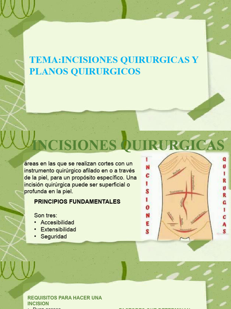 Incisiones Quirurgicas y Planos Quirurgicos | PDF | Abdomen | Cirugía