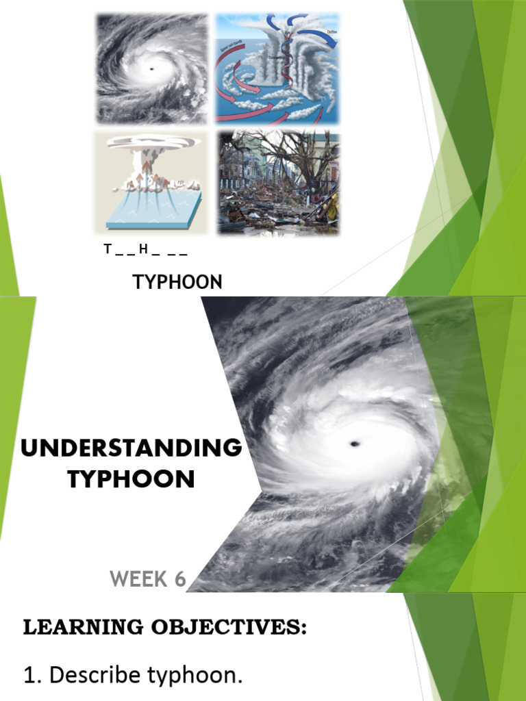 UNDERSTANDING TYPHOONS | PDF | Tropical Cyclones | Eye (Cyclone)
