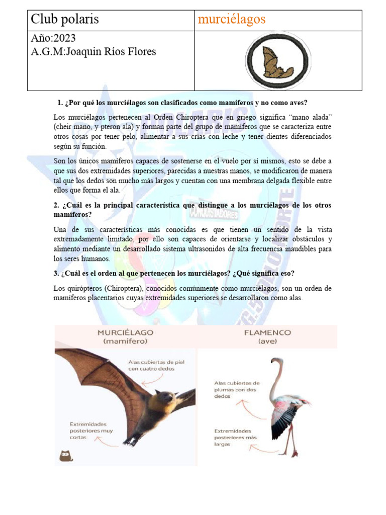 MURCIELAGOS | PDF | Murciélago | Ala
