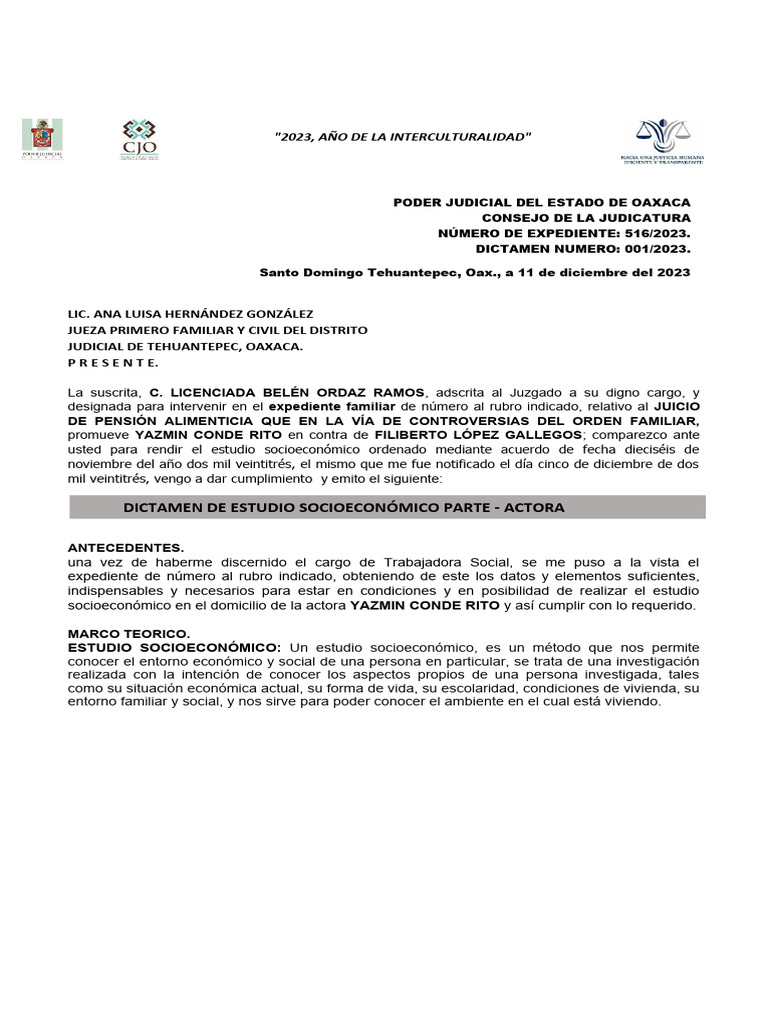 Estudio Exp 516 Yazmin Conde | PDF | Política