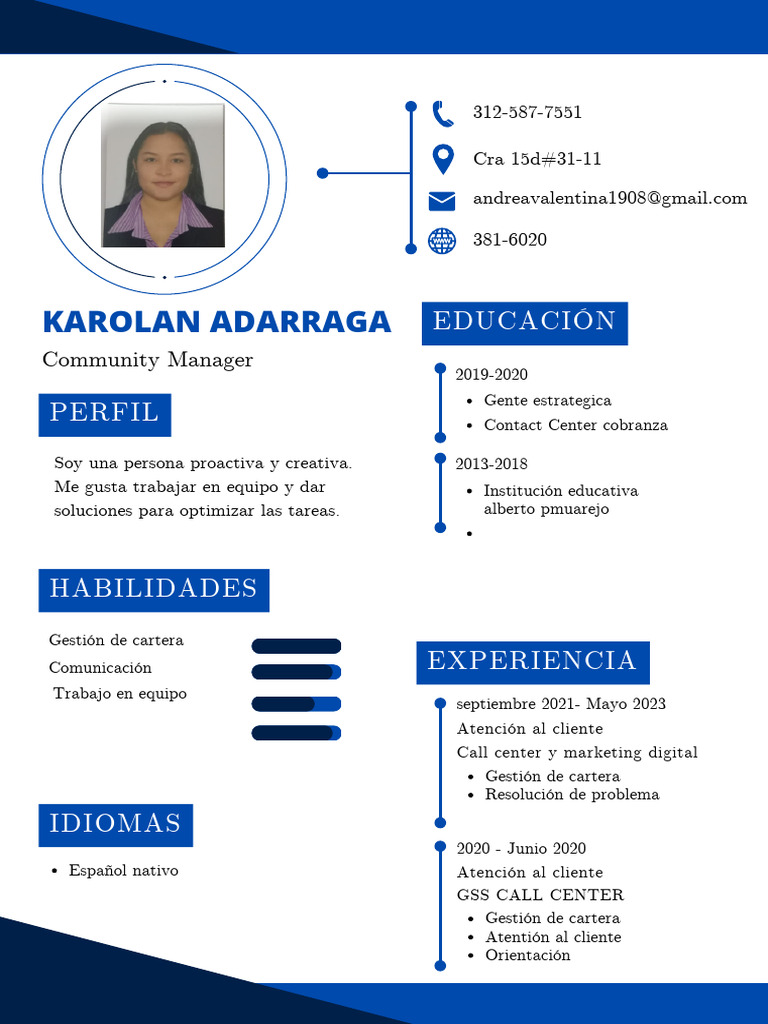 Hoja de Vida Profesional Azul | PDF
