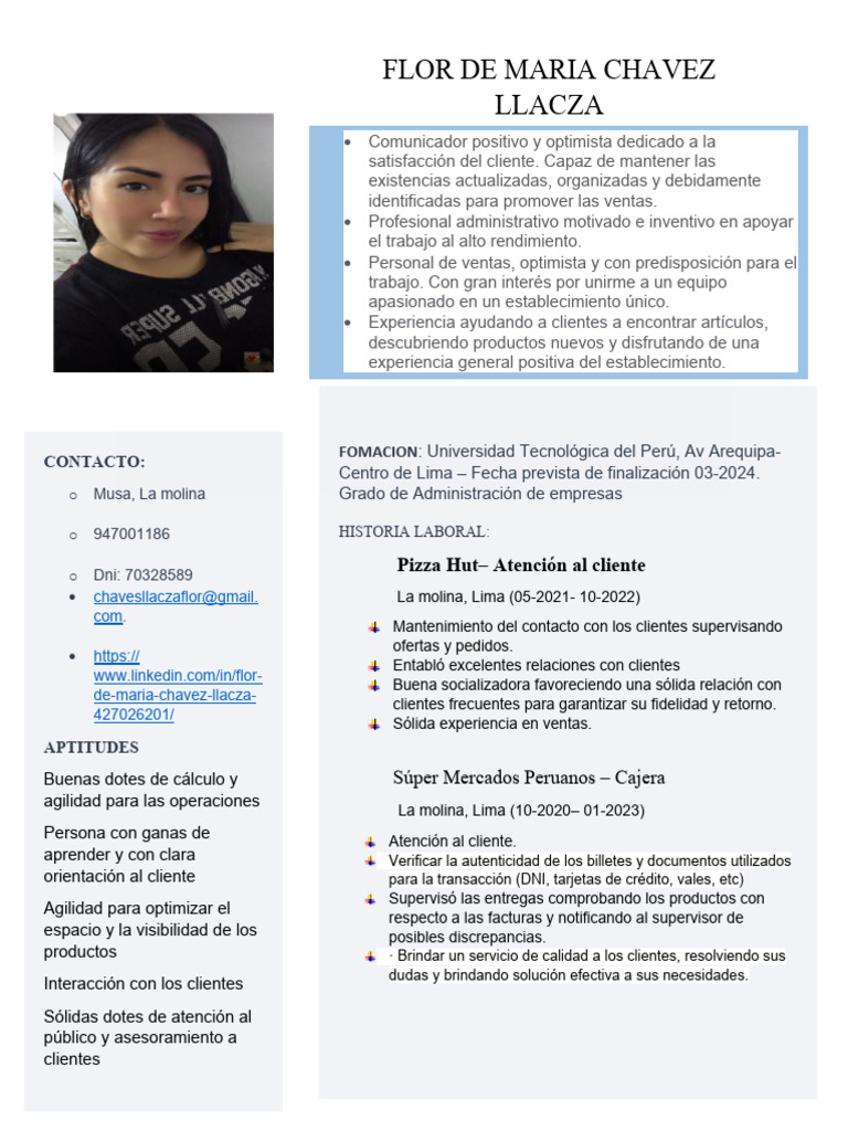 Perfil Profesional de Flor de María Chávez | PDF | Negocios económicos ...