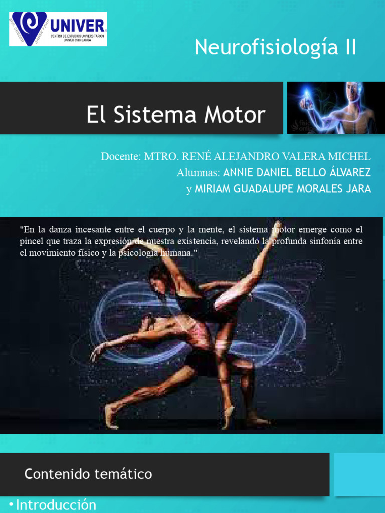 Sistema Motor - Presentación | PDF | Músculo esquelético | Percepción ...