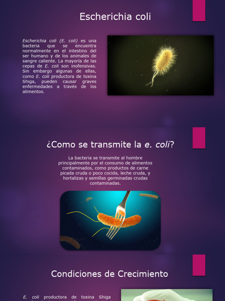 e.coli | PDF | Escherichia coli | Especialidades Medicas