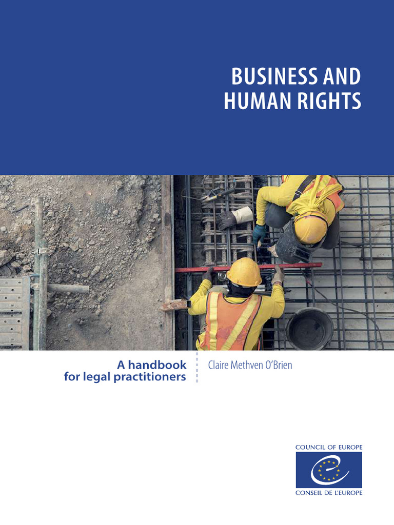 133518GBR Handbook Business Human Rights | PDF