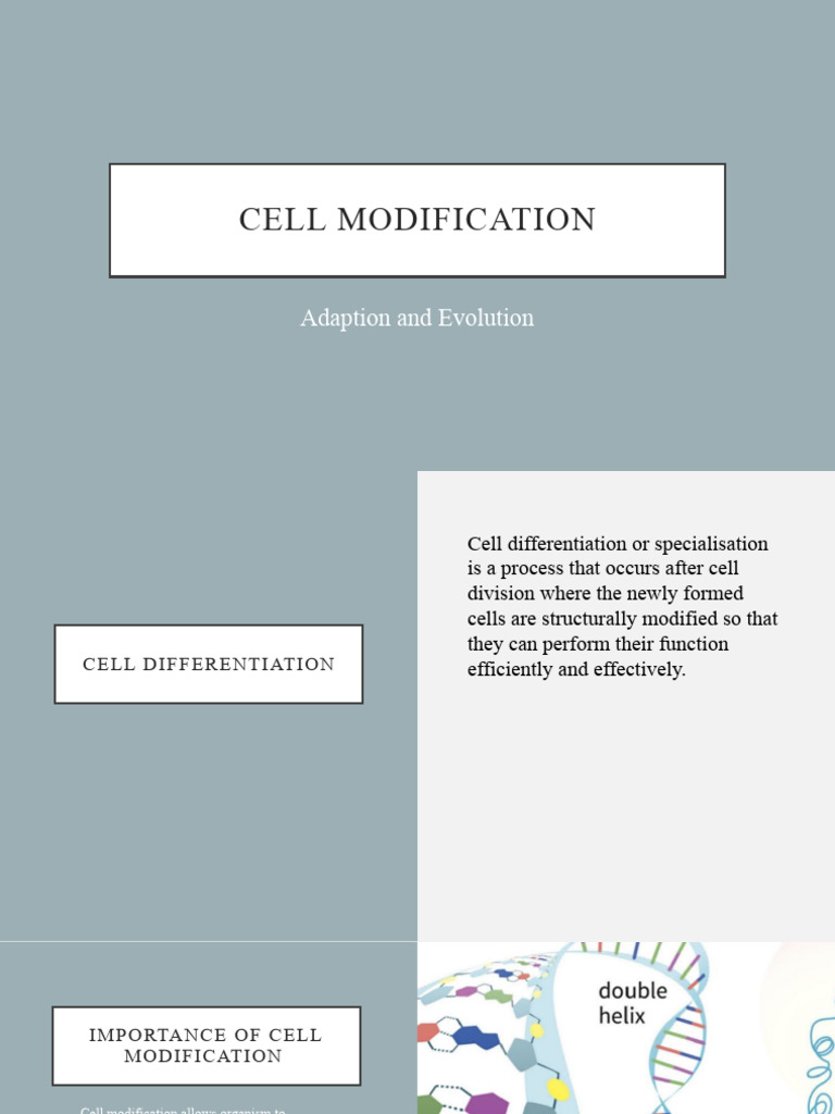 4 - Cell Modification | PDF