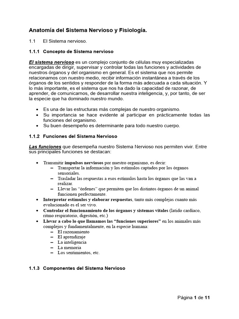 Anatomía Del Sistema Nervioso y Fisiología | PDF | Fluido cerebroespinal | Sistema nervioso