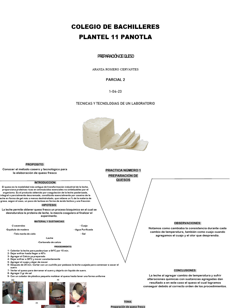 Reporte de Practica 1 Preparacion de Queso. | PDF | Leche | Queso