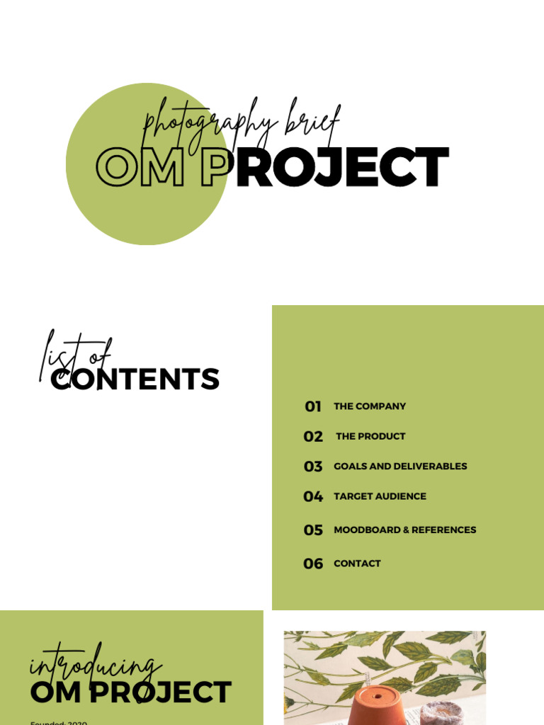 OM-Project-brief | PDF