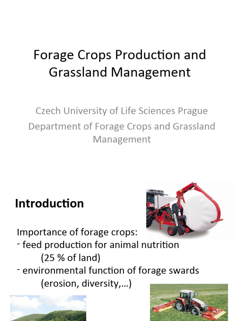 Forage Crops Production and Grassland Management | PDF | Legume | Clover