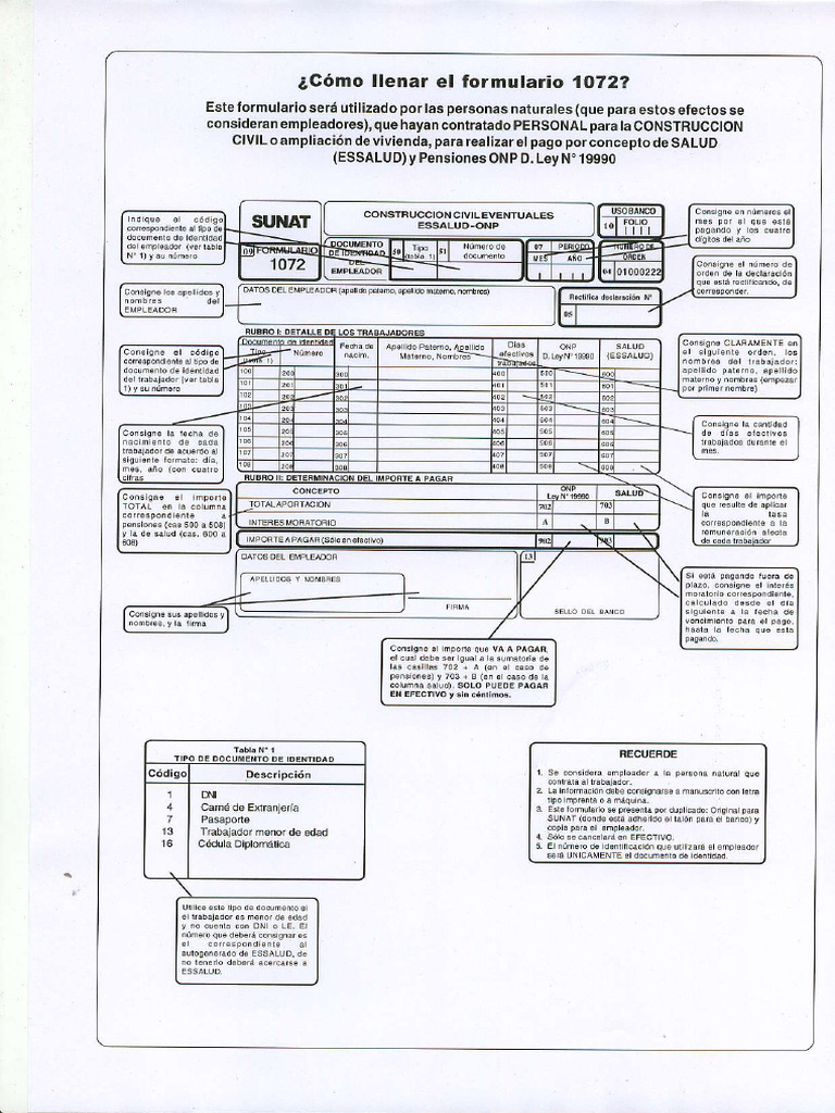 Guía para llenar el formulario 1072 | PDF