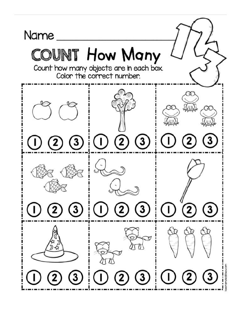 3 Basic Numeracy Worksheets | PDF