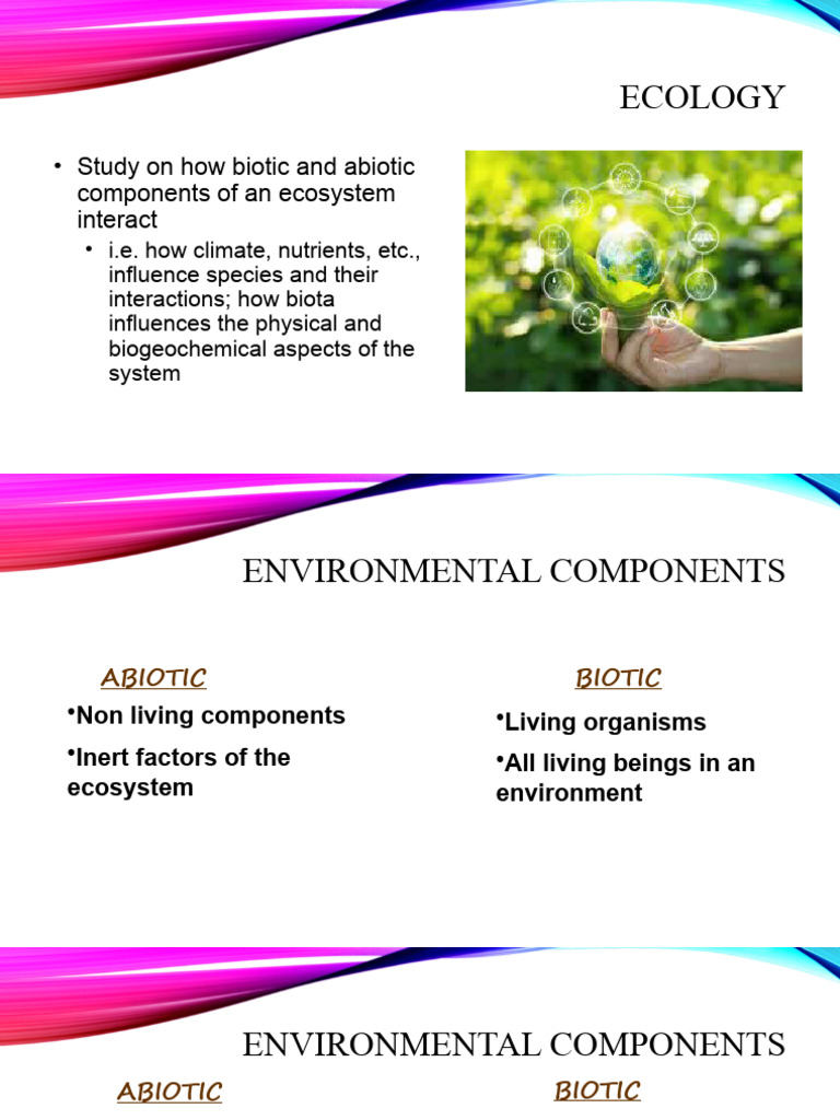 Ecology Discussion | PDF | Food Web | Ecosystem