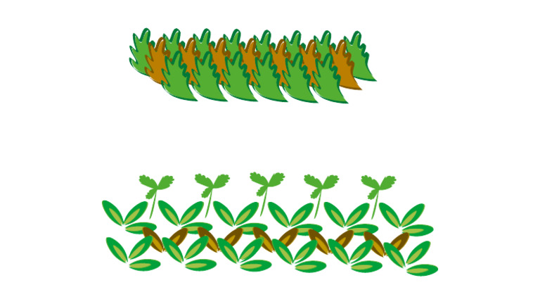 Sin Tã - Tulo-1 | PDF