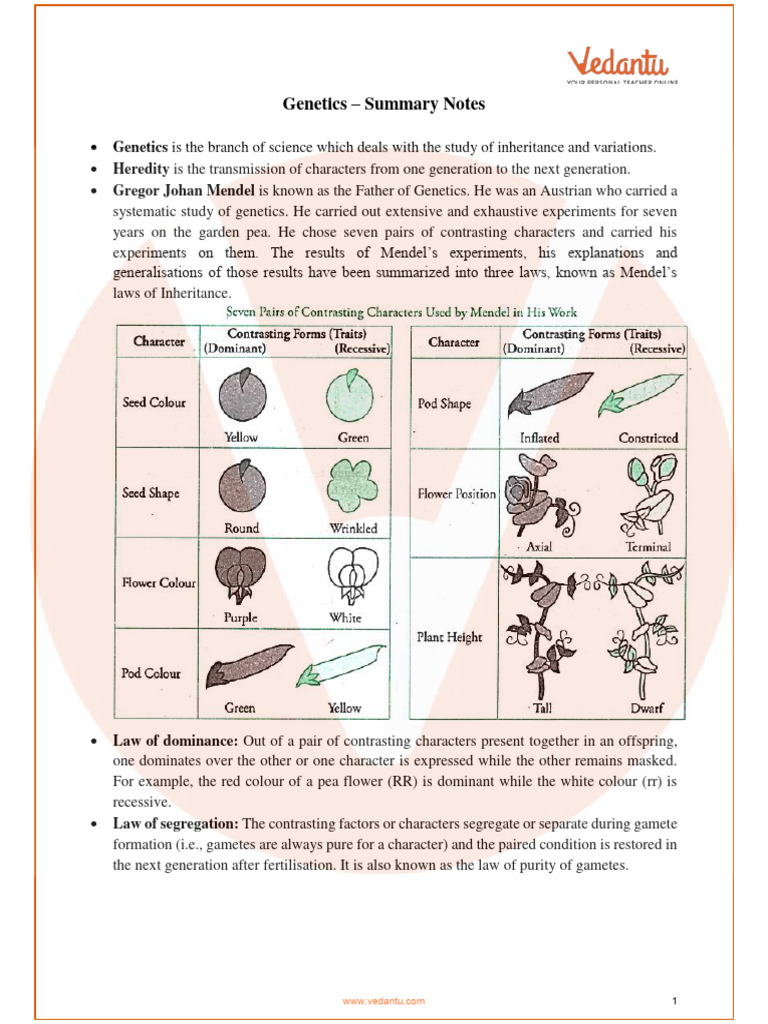 Class 10 Biology Chapter 3 Revision Notes | PDF | Dominance (Genetics ... Class 10 Biology Chapter 3 Revision Notes | PDF | Dominance (Genetics ...