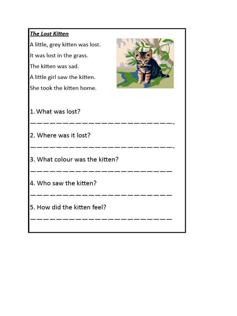 The Lost Kitten | PDF