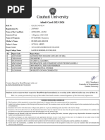 CEA Format 2024-25 | PDF