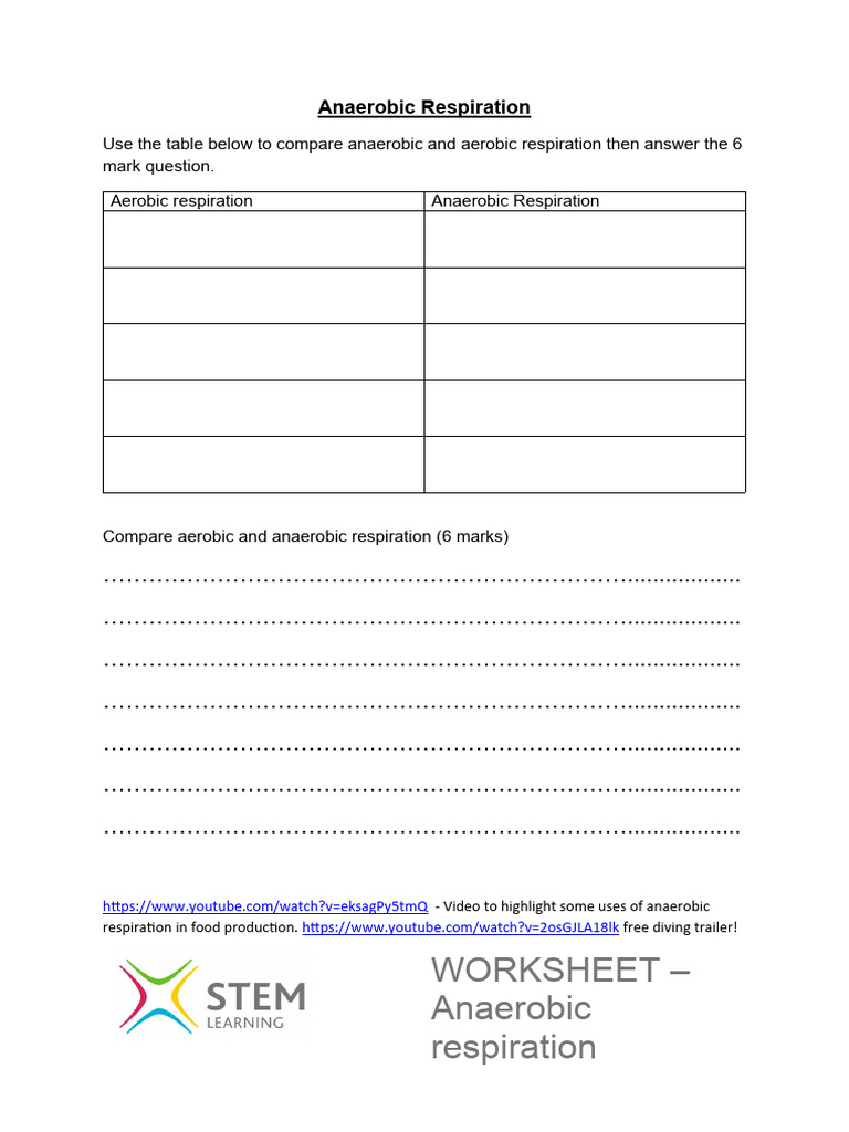 Anaerobic vs Aerobic Respiration Worksheet | PDF