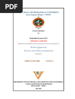 VTU-NSS_Report_Template final | PDF