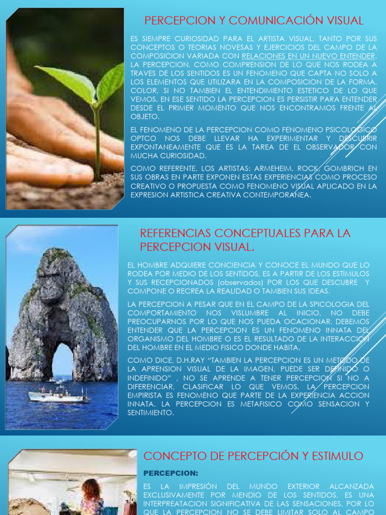 Percepcion-Comunicacion Visual, Concepto | PDF | Percepción | Sentidos