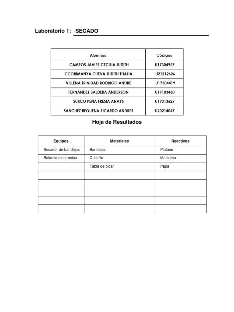 Hoja de Reporte - LAB UTP - RODRIGO VILLENA | PDF