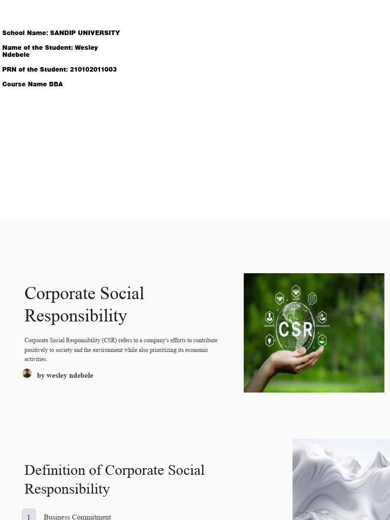 Corporate Social Responsibility | PDF | Corporate Social Responsibility | Business
