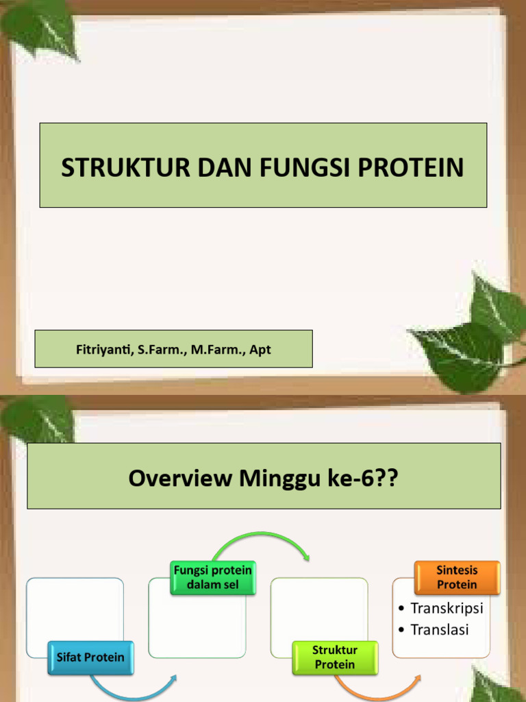 Struktur dan Fungsi Protein dalam Sel | PDF