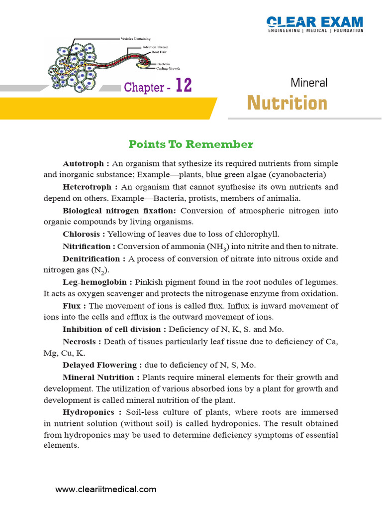 Chapter 12 Points To Remember | PDF | Plant Nutrition | Biochemistry