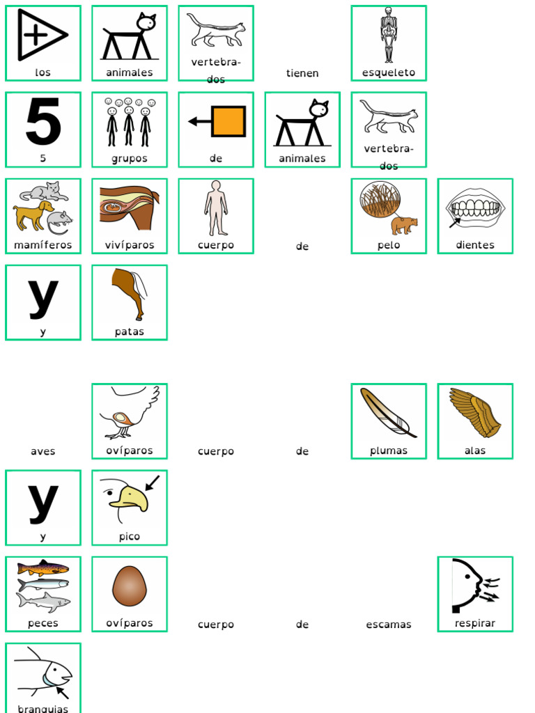 Grupos de Animales Vertebrados | PDF | Ciencia y matemáticas