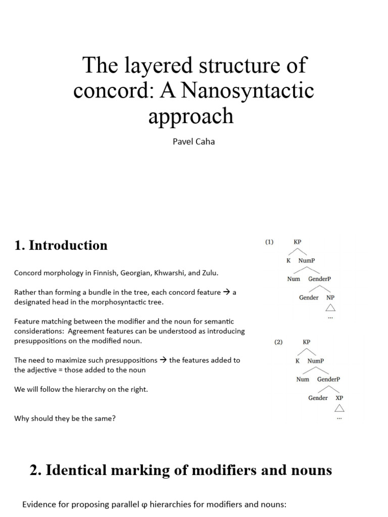 MorphologyPresentation The Layered Structure of Concord | PDF