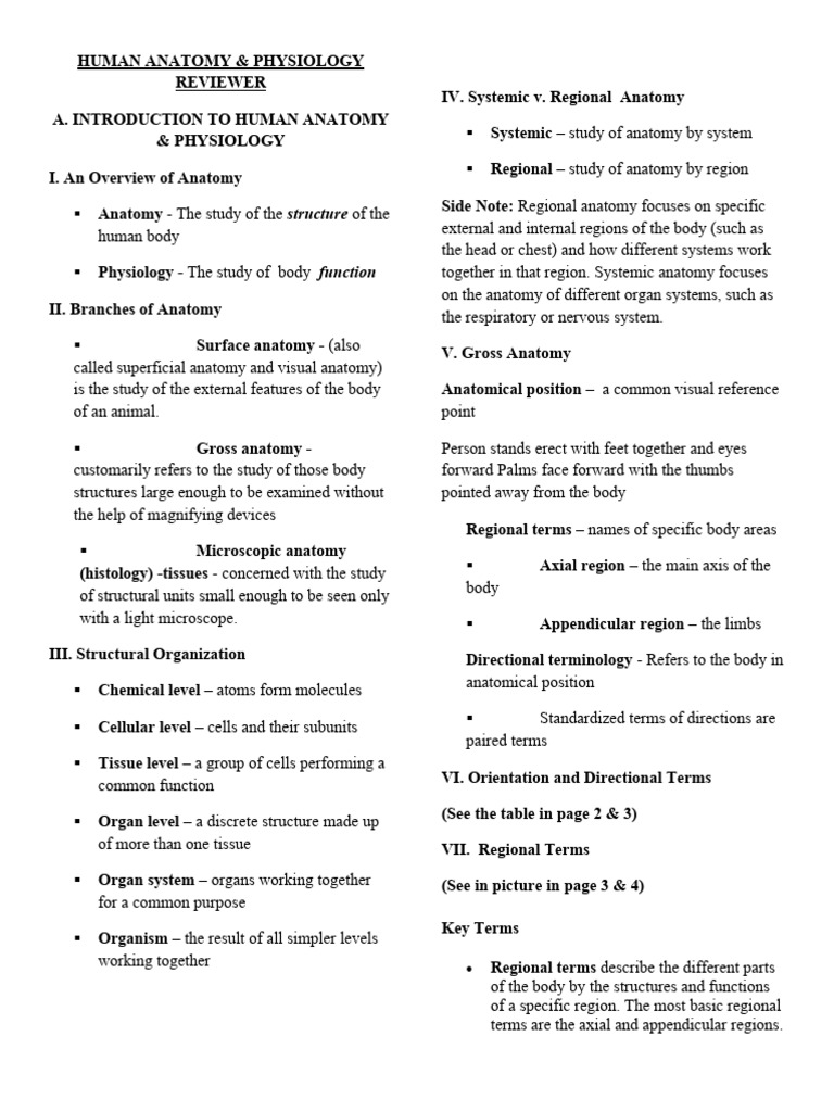Human Anatomy Reviewer | PDF | Cell (Biology) | Mitosis