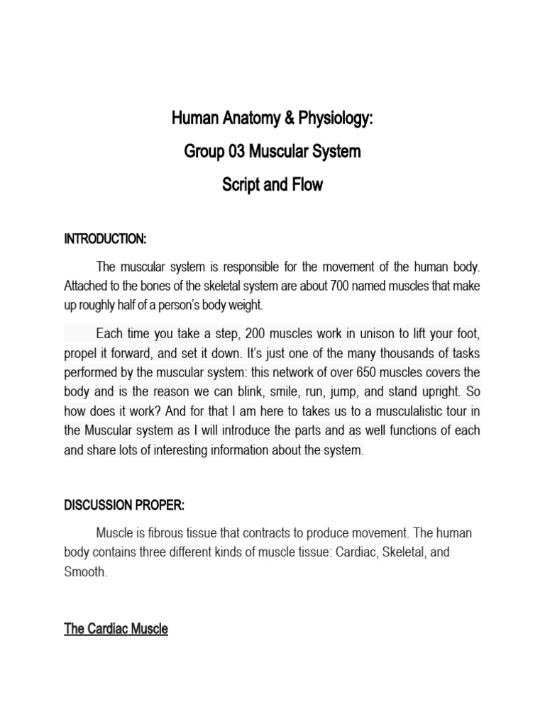 Human Anatomy | PDF | Skeletal Muscle | Cardiac Muscle