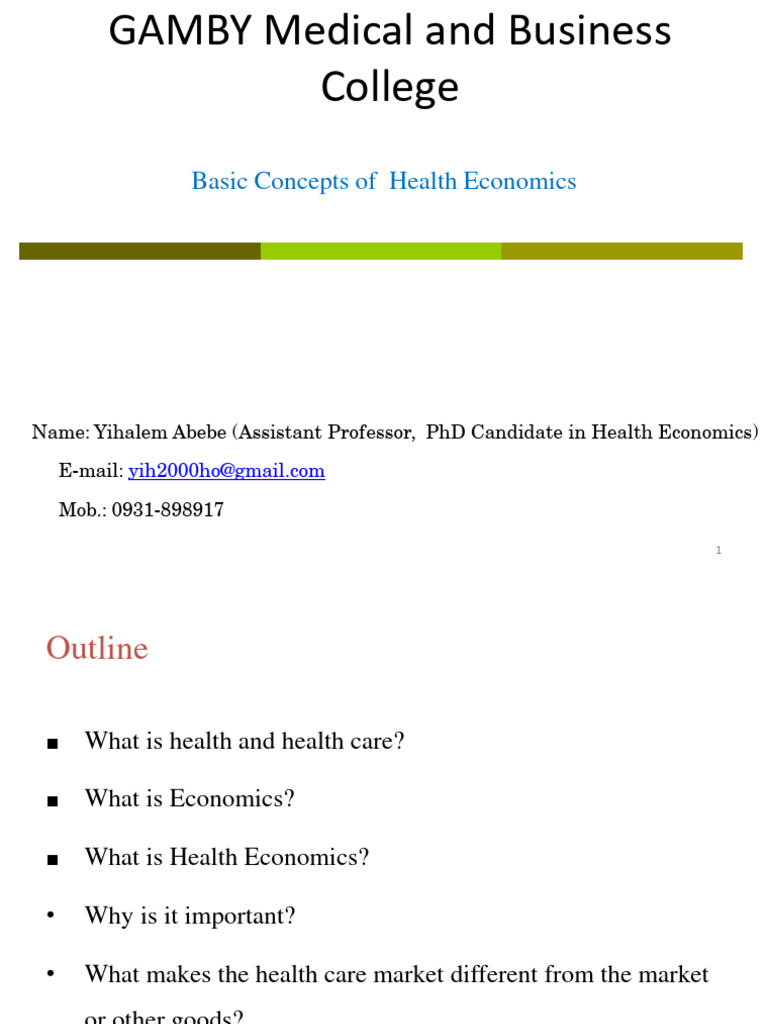 Basics of Health Economics Explained | PDF | Cost Of Living | Demand