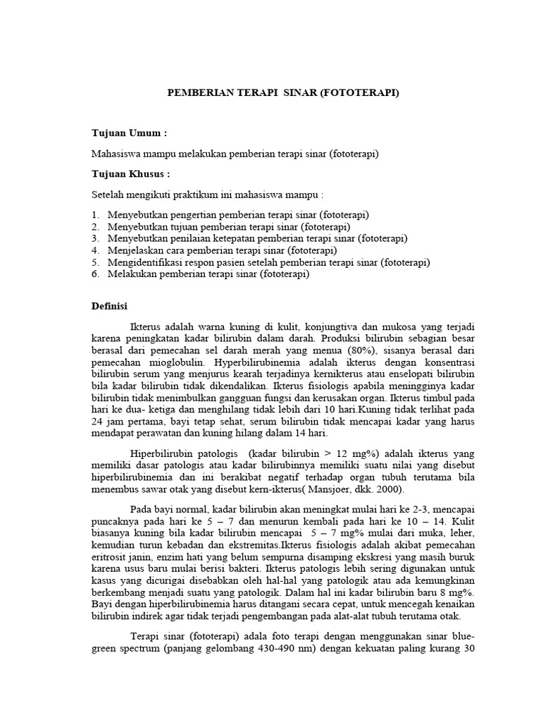 Sop Panum Bu Nyoman Udiani | PDF