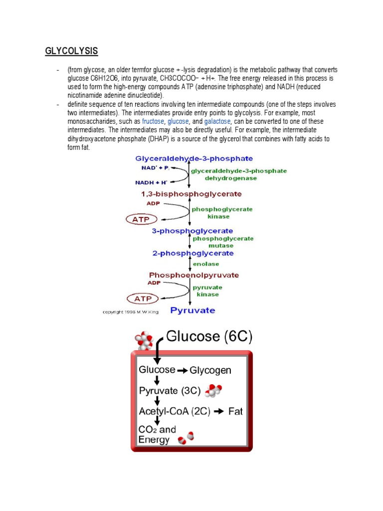 Glycolysis: Fructose Glucose Galactose | PDF | Electron Transport Chain ...