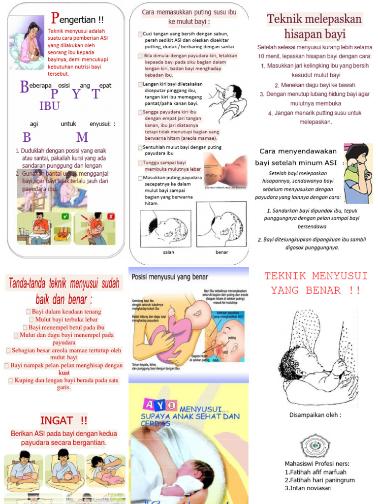 Leflet Menyususi Yang Benar | PDF