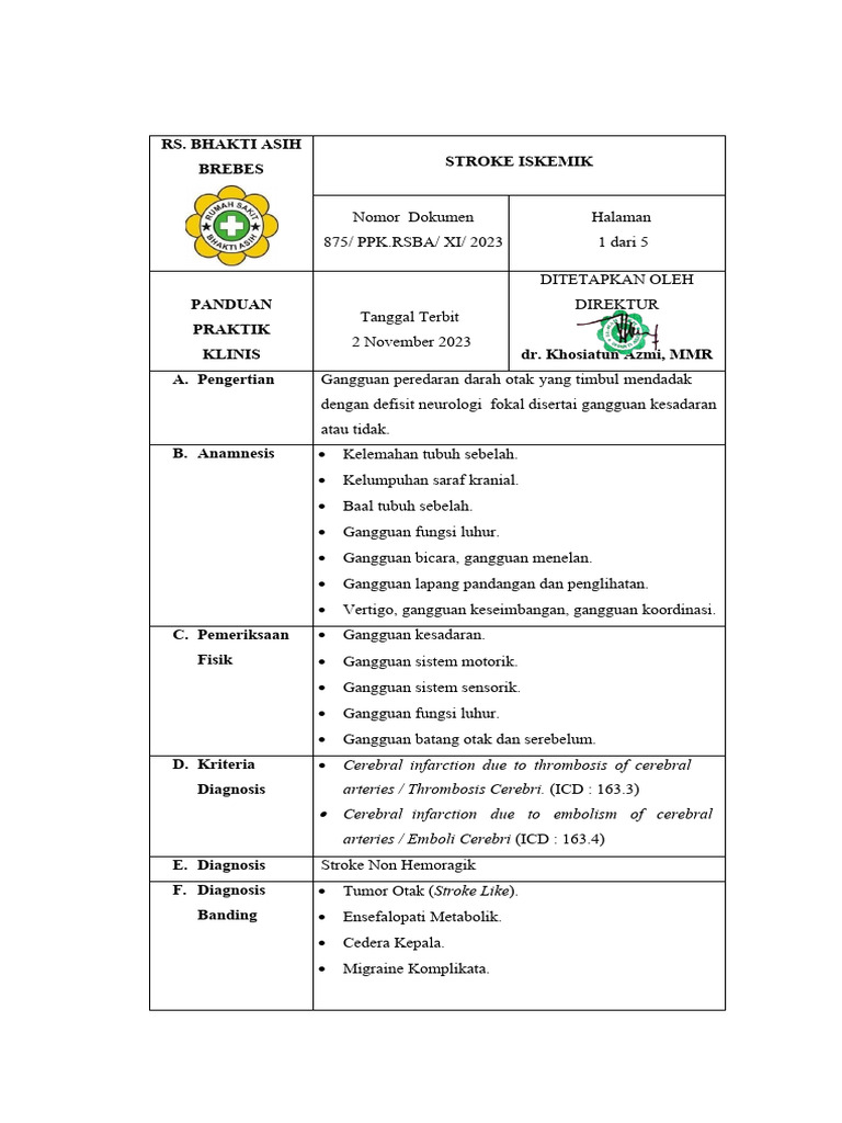 PPK Stroke Iskemik | PDF