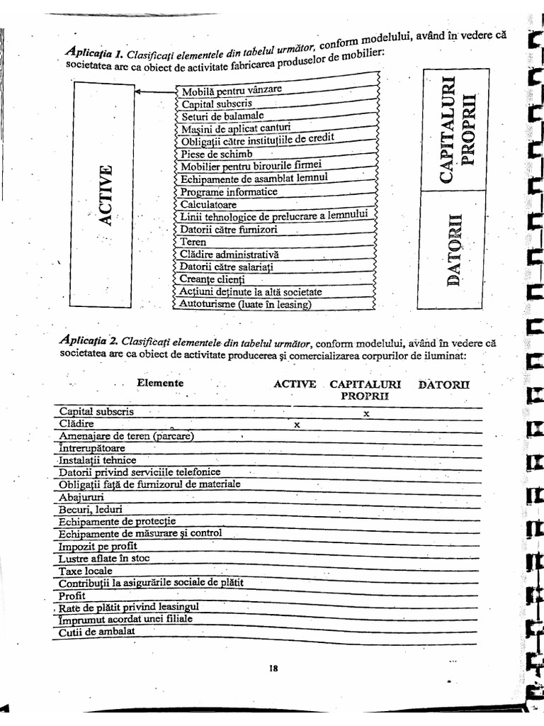 Aplicații Bilant | PDF