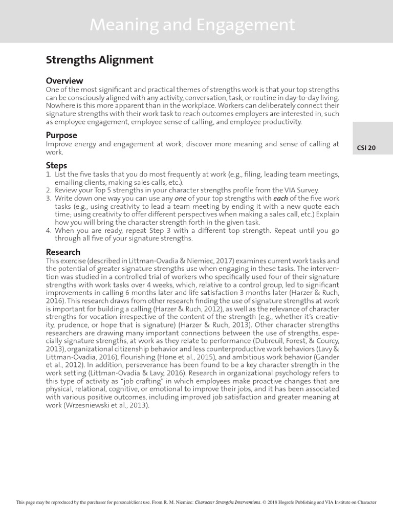 CSI-20-Strengths-Alignment | PDF | Employment | Social Psychology