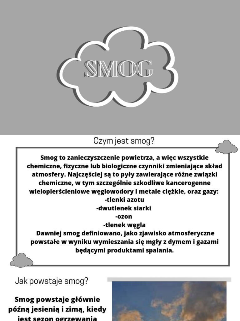 Smog - Prezentacja Na Biologię A. Bak 8G | PDF