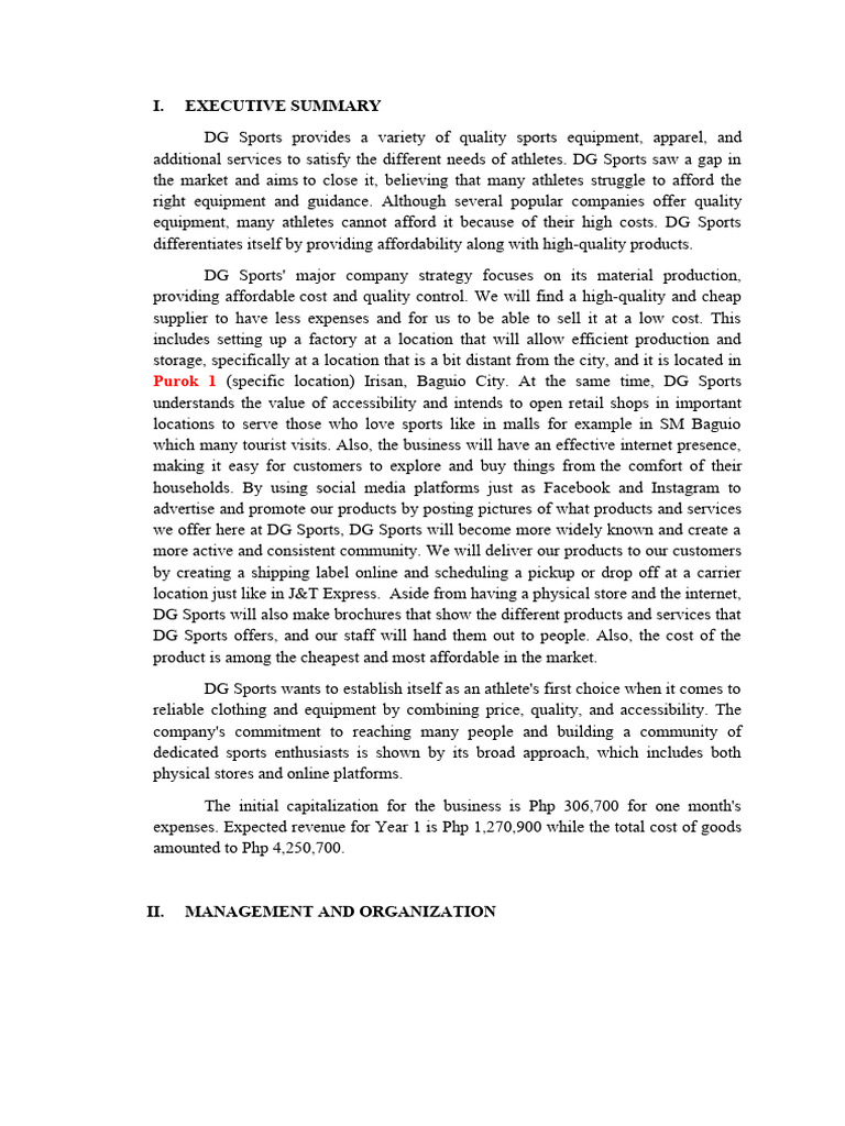 Entrep Executive Summary 1 | Download Free PDF | Internet | Clothing