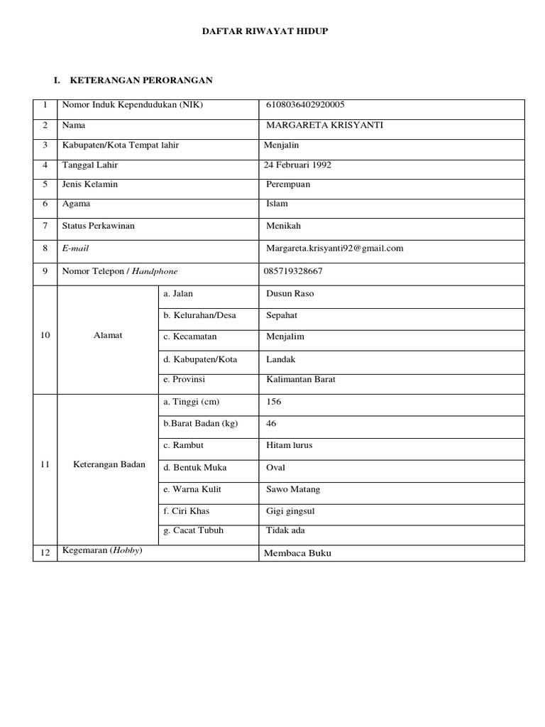 Daftar Riwayat Hidup - BKN PPPK | PDF