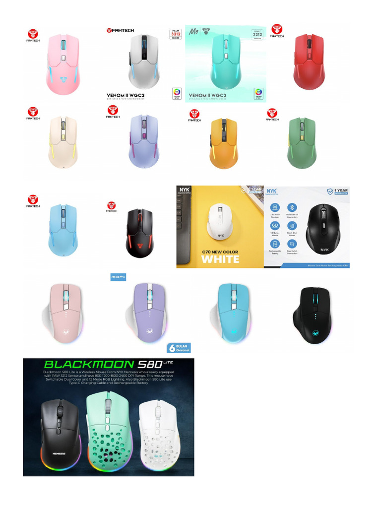 Mouse | PDF