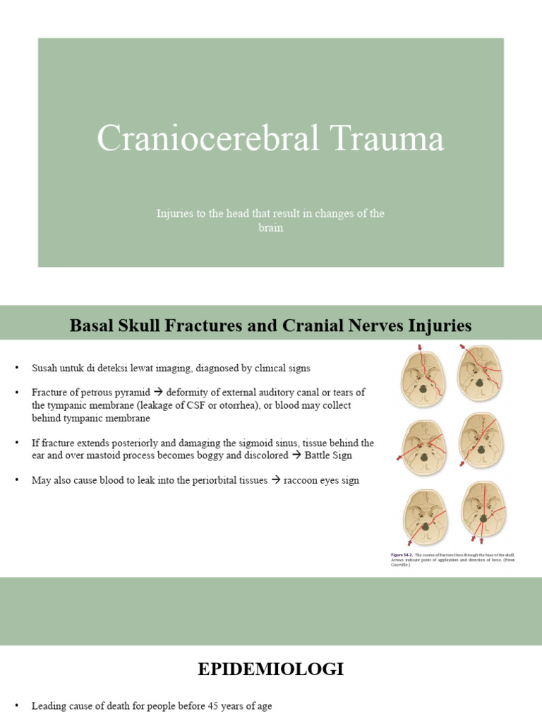 Craniocerebral Trauma: Types and Effects | PDF | Traumatic Brain Injury ...