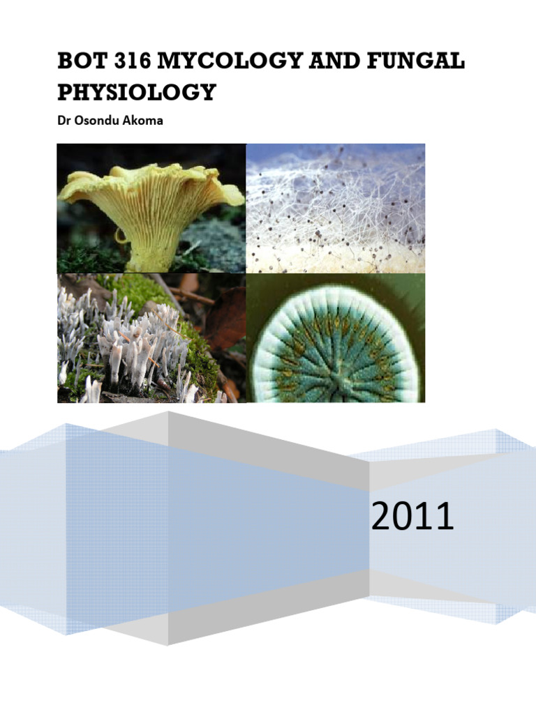 Module I Mycology | PDF | Fungus | Sexual Reproduction