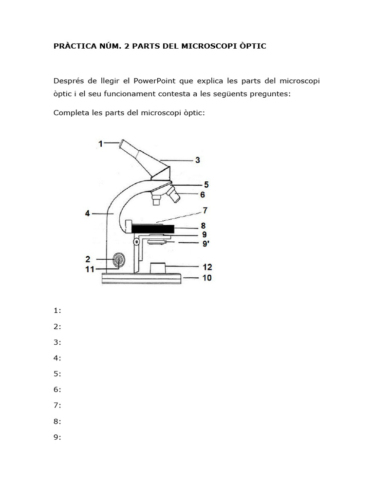 Pràctica Núm 2 Parts Del Microscopi Activitat | PDF