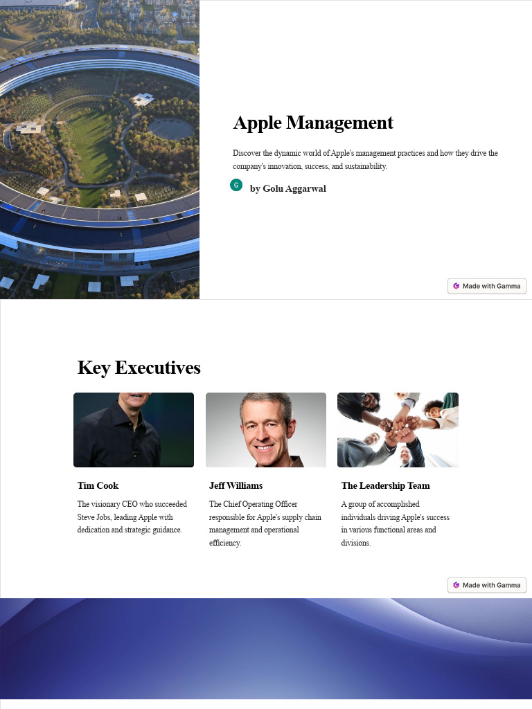 Apple Management | PDF | Apple Inc. | Innovation
