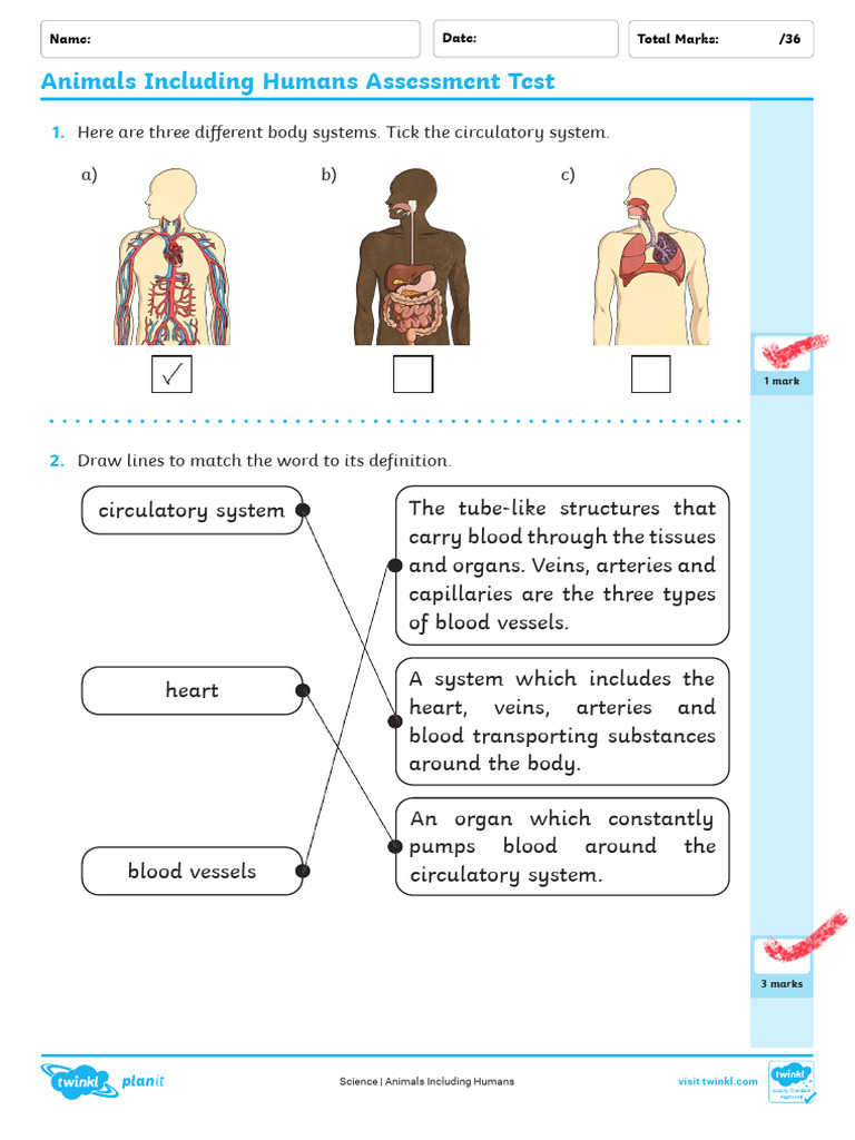 Assessment Test | PDF